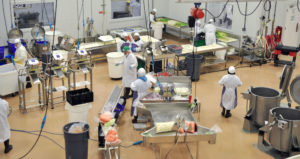 What is Food Defense Risk Analysis? - Zosi Learning